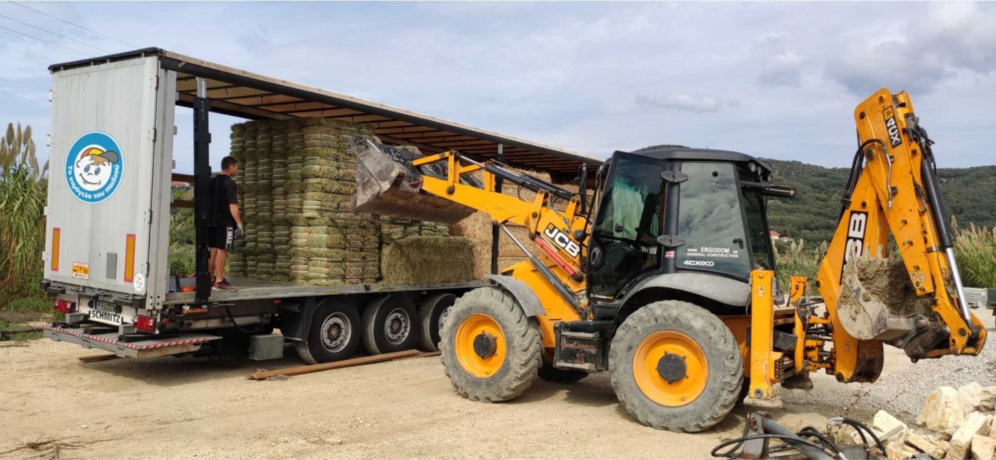 Τροφή και αγάπη για τα τετράποδα μέλη της οικογένειας του Οργανισμού